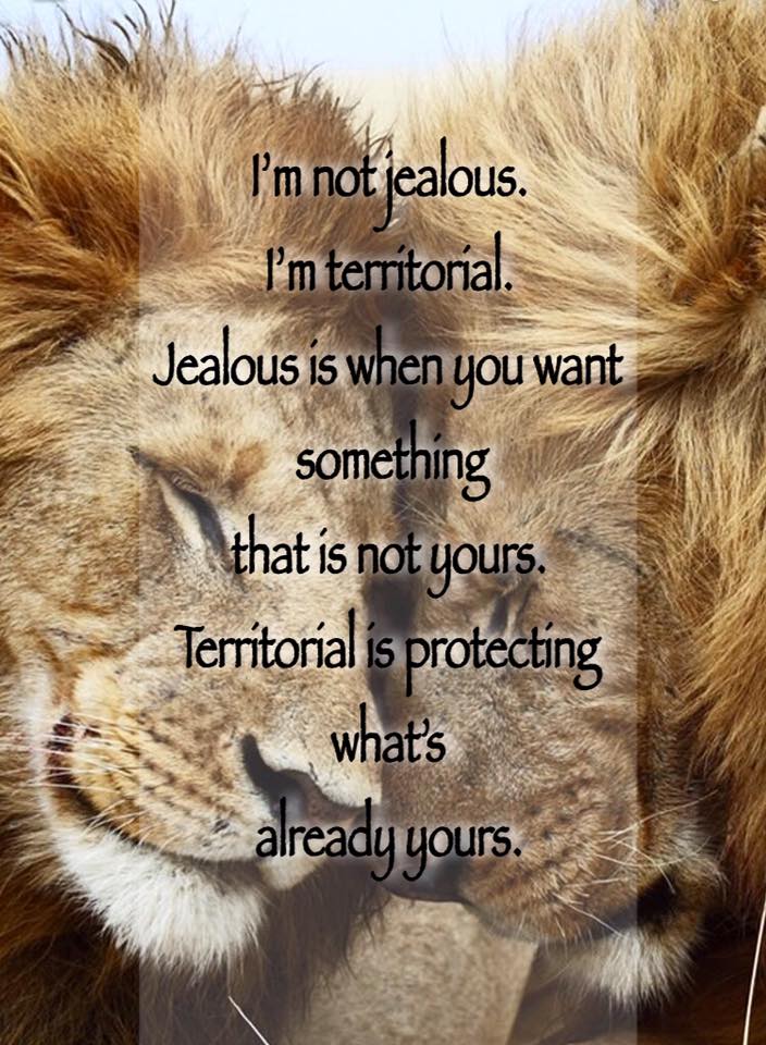 20 Love Quotes & Sayings Straight From the Heart Part 22