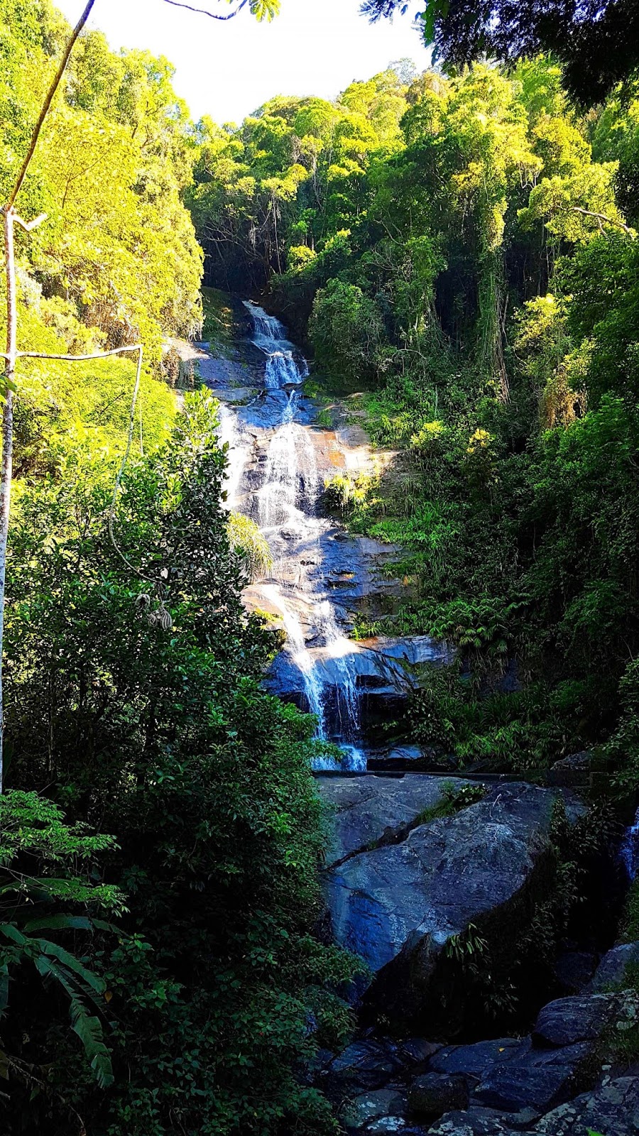 FLORESTA DA TIJUCA NO RIO DE JANEIRO : DICAS DO QUE FAZER | Uma Senhora ...