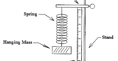 Reflecting on my Digital Identity: Hooke's Law Experiment