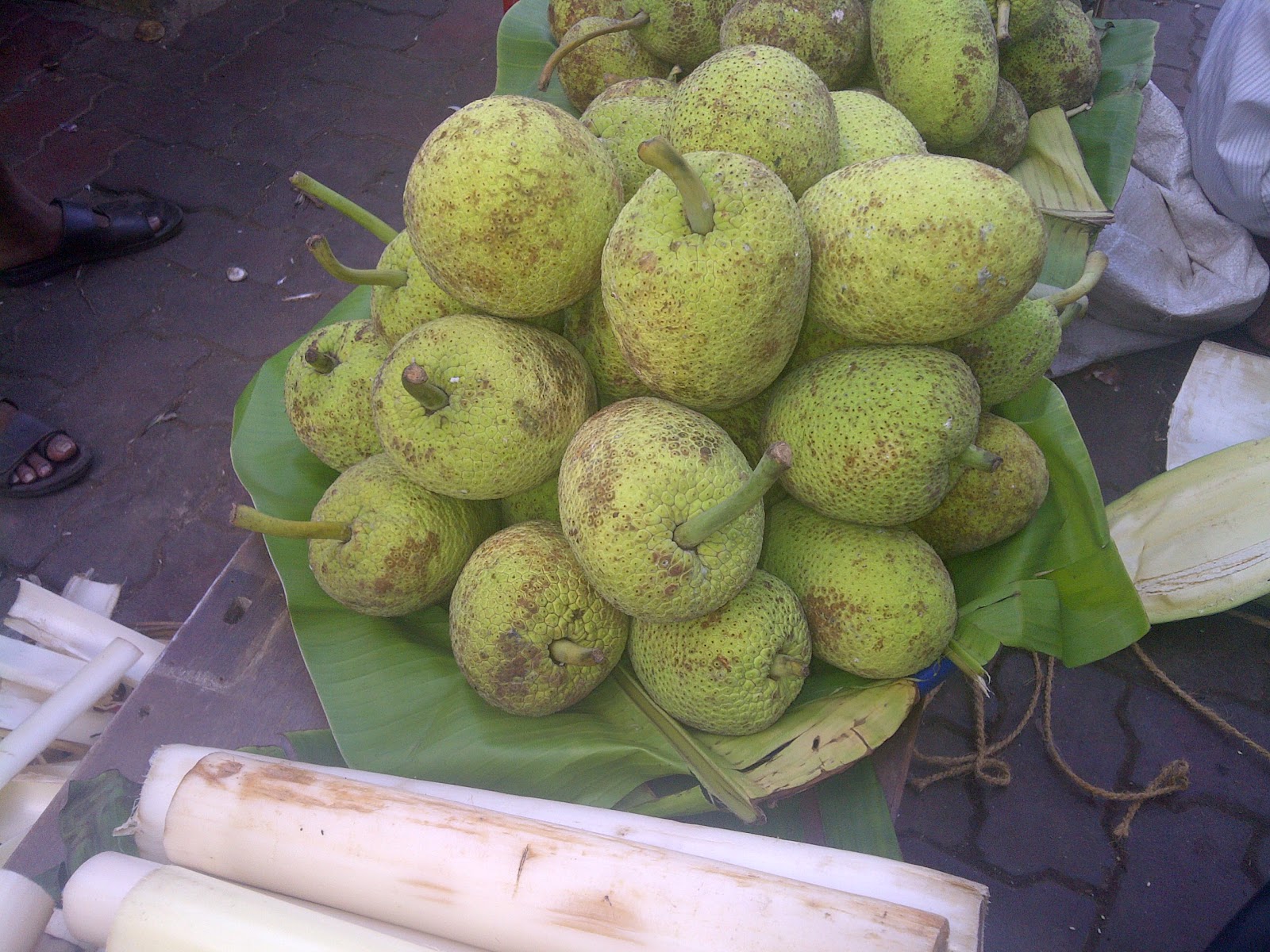 Rediscovering Matunga...a Food and Mythology Walk