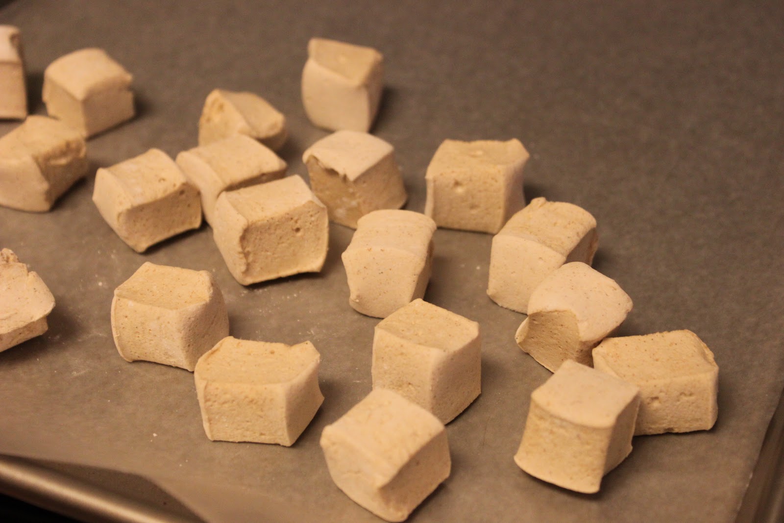 Megsiemay Makes: Chocolate Covered Spice-mallows