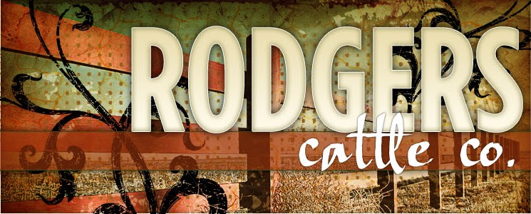 Executive Sires, Inc.: Livestock World - Ohio Beef Expo - Sire ...