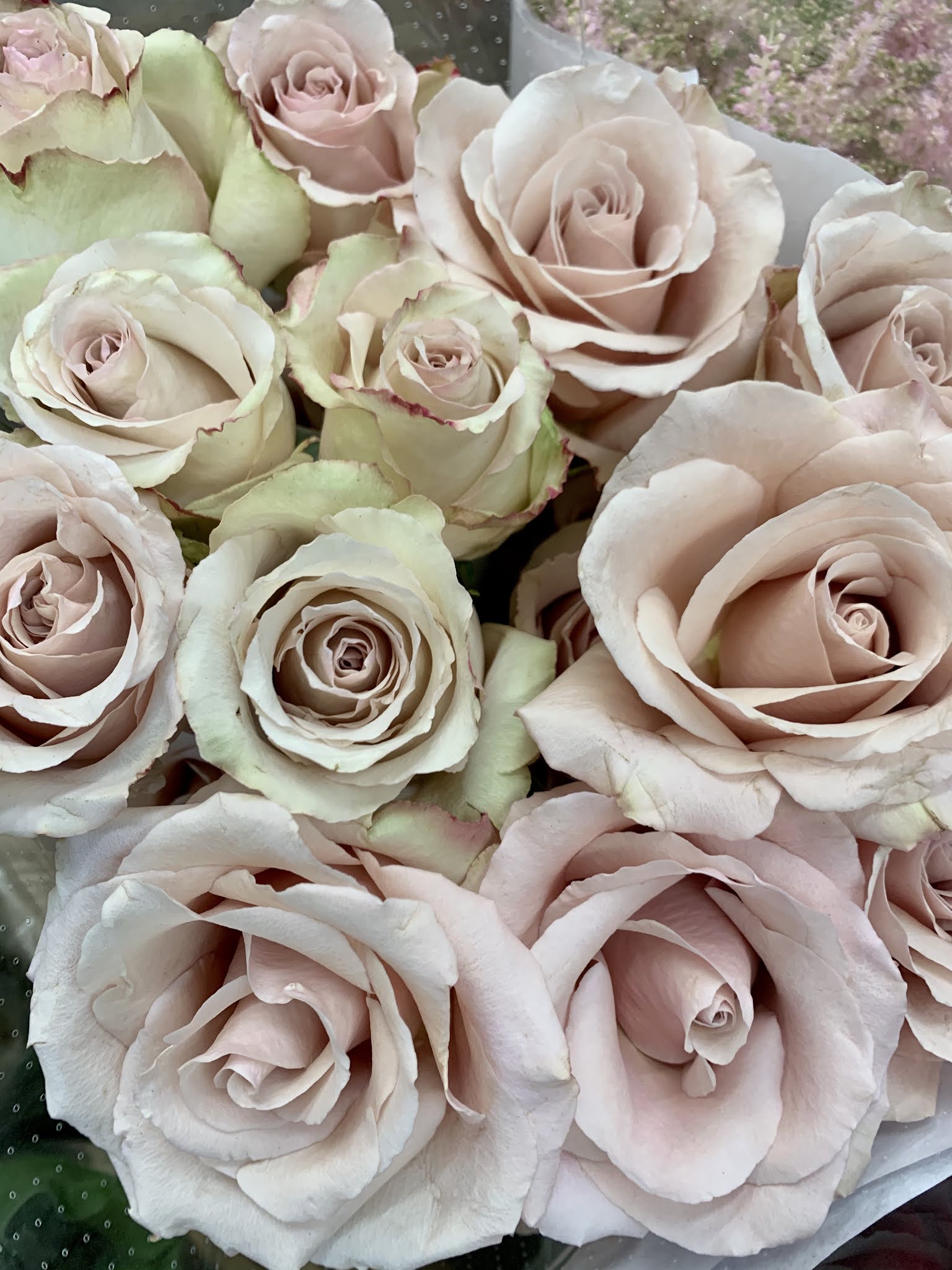 Ellie & Kristian's Covid Wedding at St Cuthbert's Church