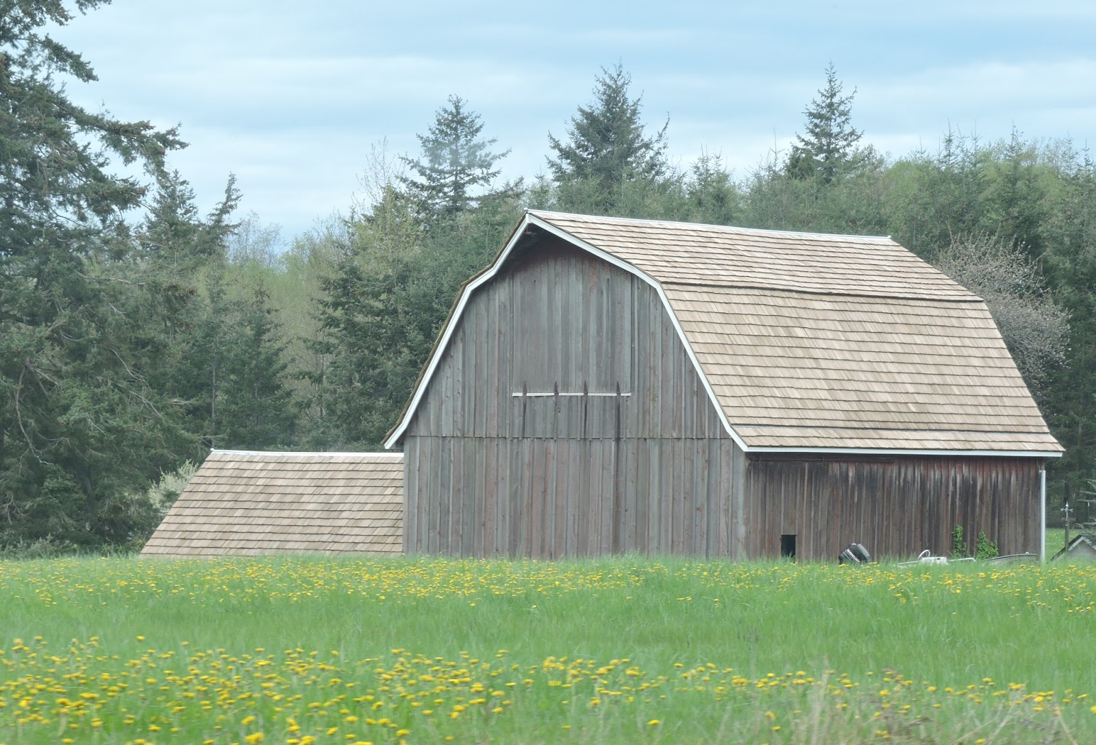 Scene Through My Eyes: Barns and Apple Trees