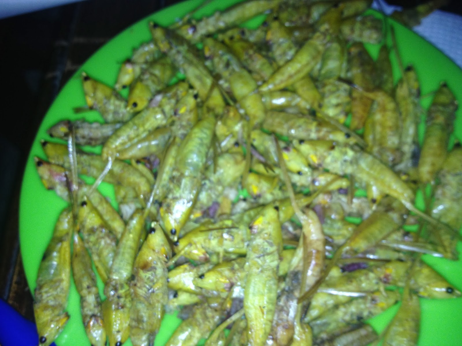 Thoughts of a Globie: Experiencing the local culture