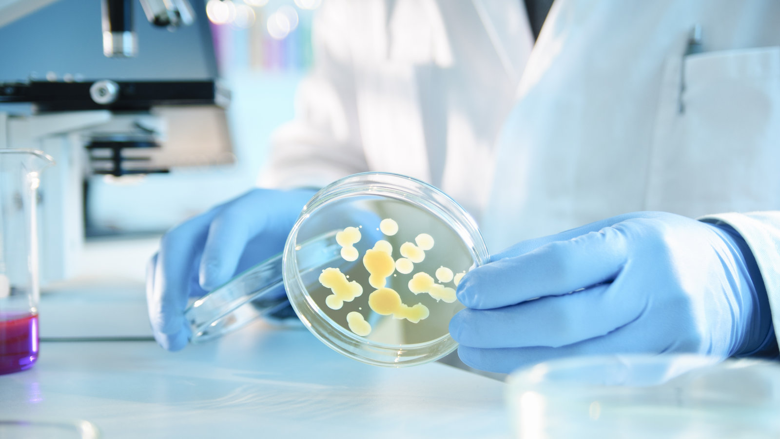 les cours et contrôle des module microbiologie