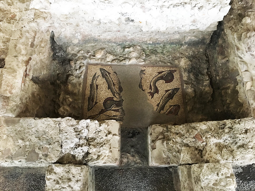 Museo de las Villas Romanas de Almenara-Puras, Valladolid | Ida y Vuelta