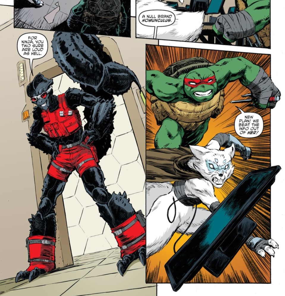 TMNT Entity: TMNT Universe #19