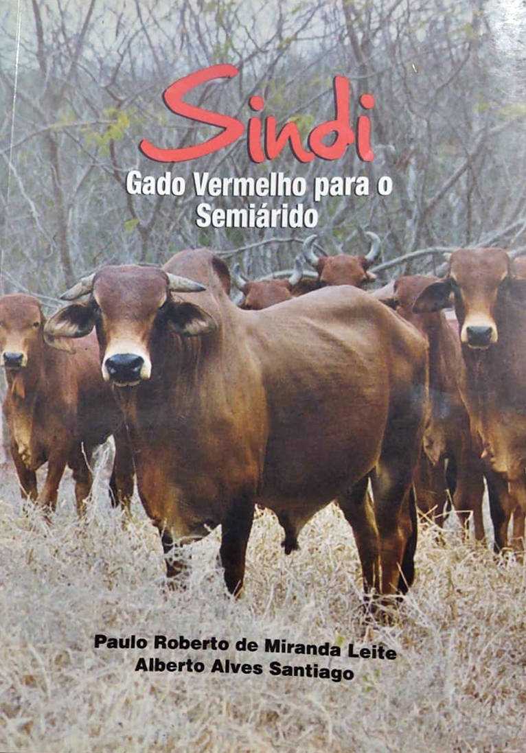 Bahia Red Sindhi: A Entrada Oficial da Raça Sindi no Nordeste