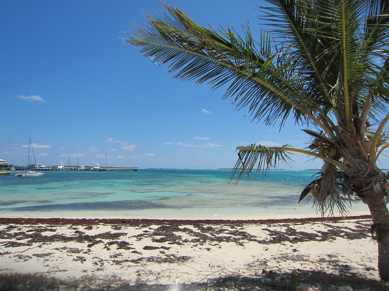 Borealis: Day 287- Georgetown, Exumas, Bahamas