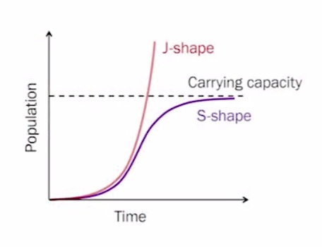 Virtual Diary: Growth Curves - J Curve and S Curve