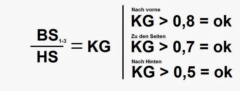 BKF - Training: Ladungssicherung - Kippgefährdung