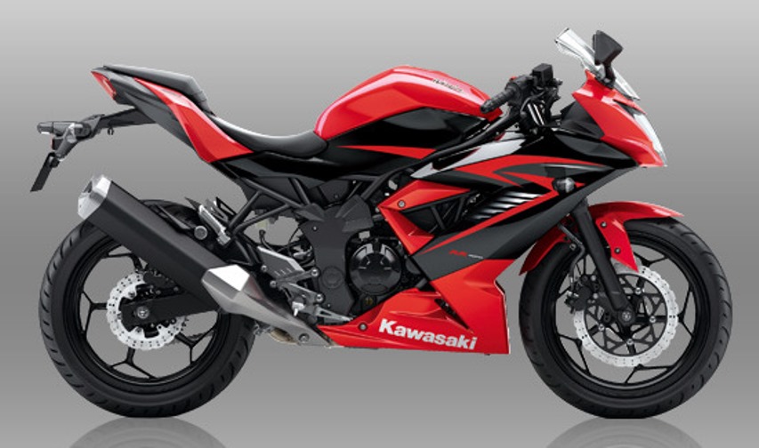 Ini dia pilihan warna dan striping baru Kawasaki Ninja RR Mono di awal ...
