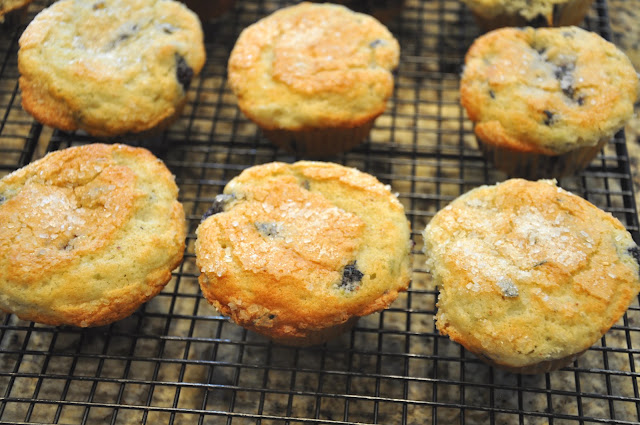 Serendipity Refined Blog: Lovin' These "Summertime Blues" - Blueberry ...