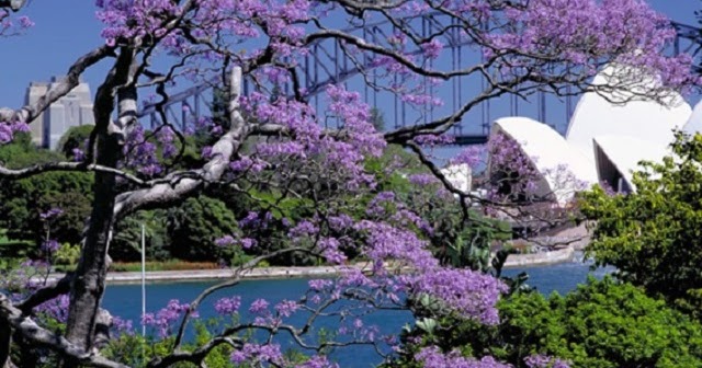 Every Day Is Special: September 23 - Vernal (Spring!) Equinox in Australia