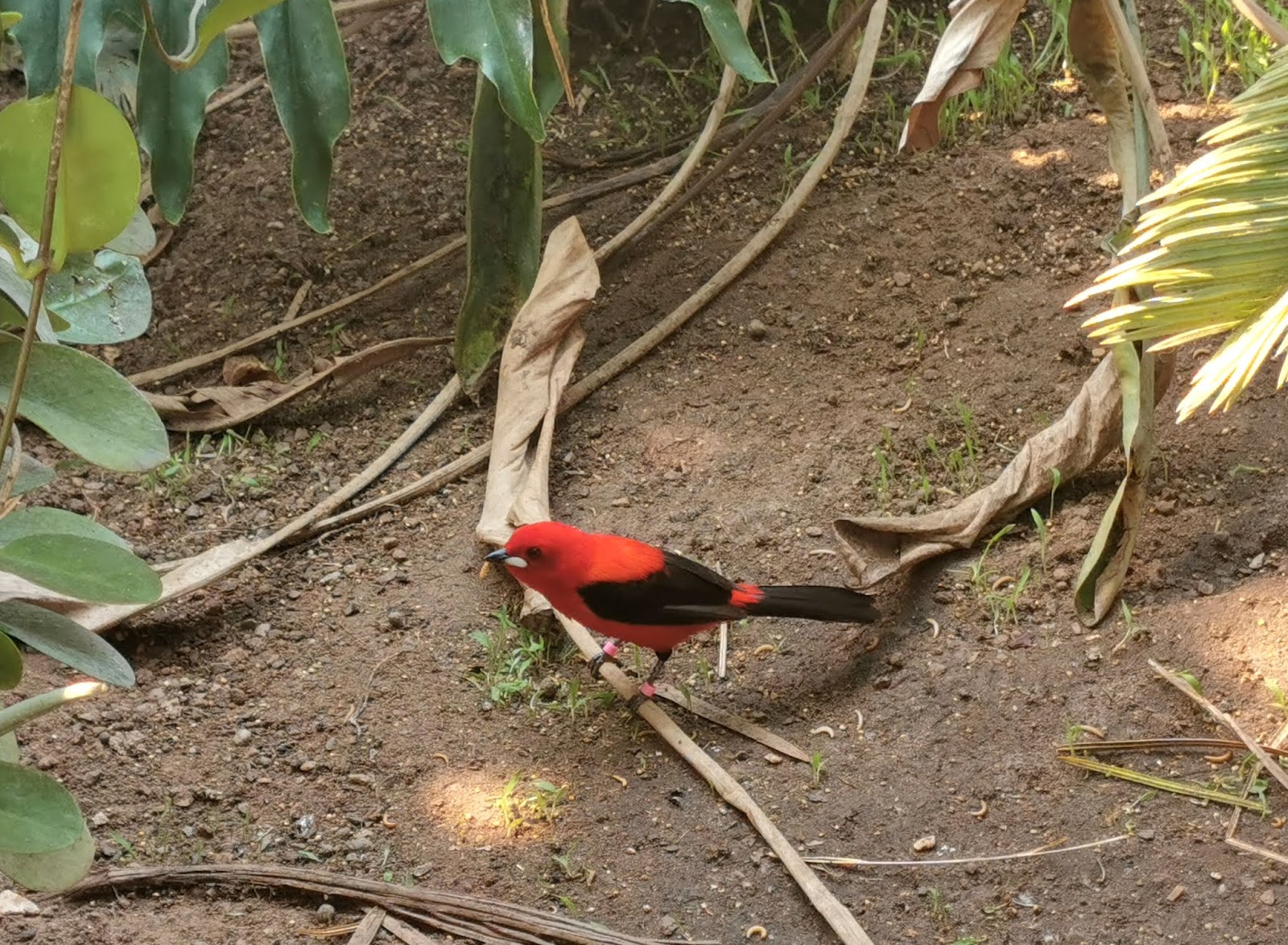 Tantrums To Smiles: Marwell Zoo - A Fantastic Day Out for the Whole Family