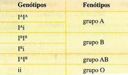 Bio Cantalice: POLIALELIA OU ALELOS MÚLTIPLOS
