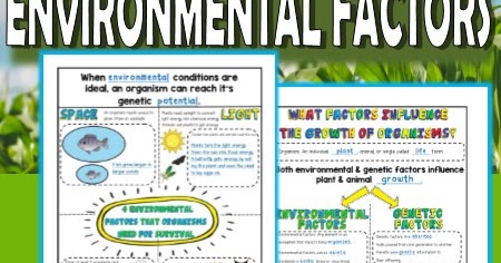 New Product! Environmental & Genetic Factors & the Growth of Organisms ...