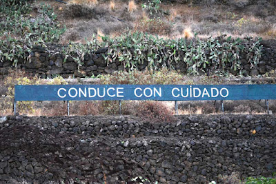 A N O N I M A N: 2019