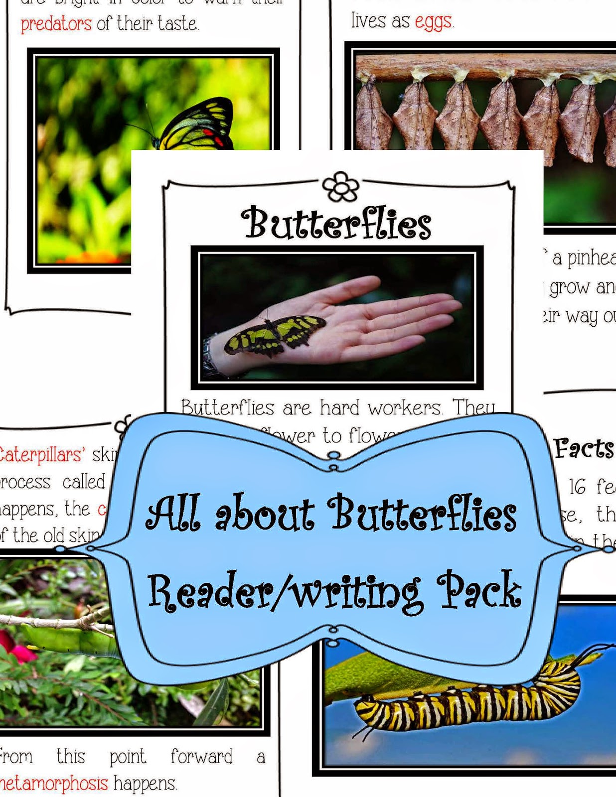 The Hermit Crabs Homeschool: All About Butterflies