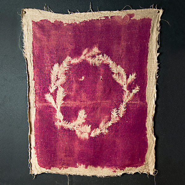 Inspired Whims: Just Add Sunshine! Light-Sensitive Paint Project