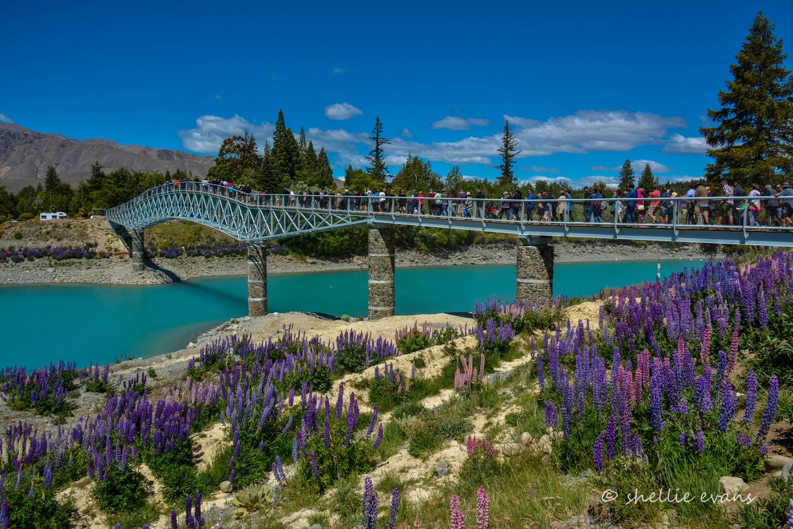 Two Go Tiki Touring: A Surprise Opening- Tekapo