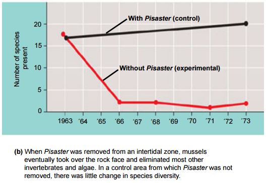 Keystone and Foundation Species