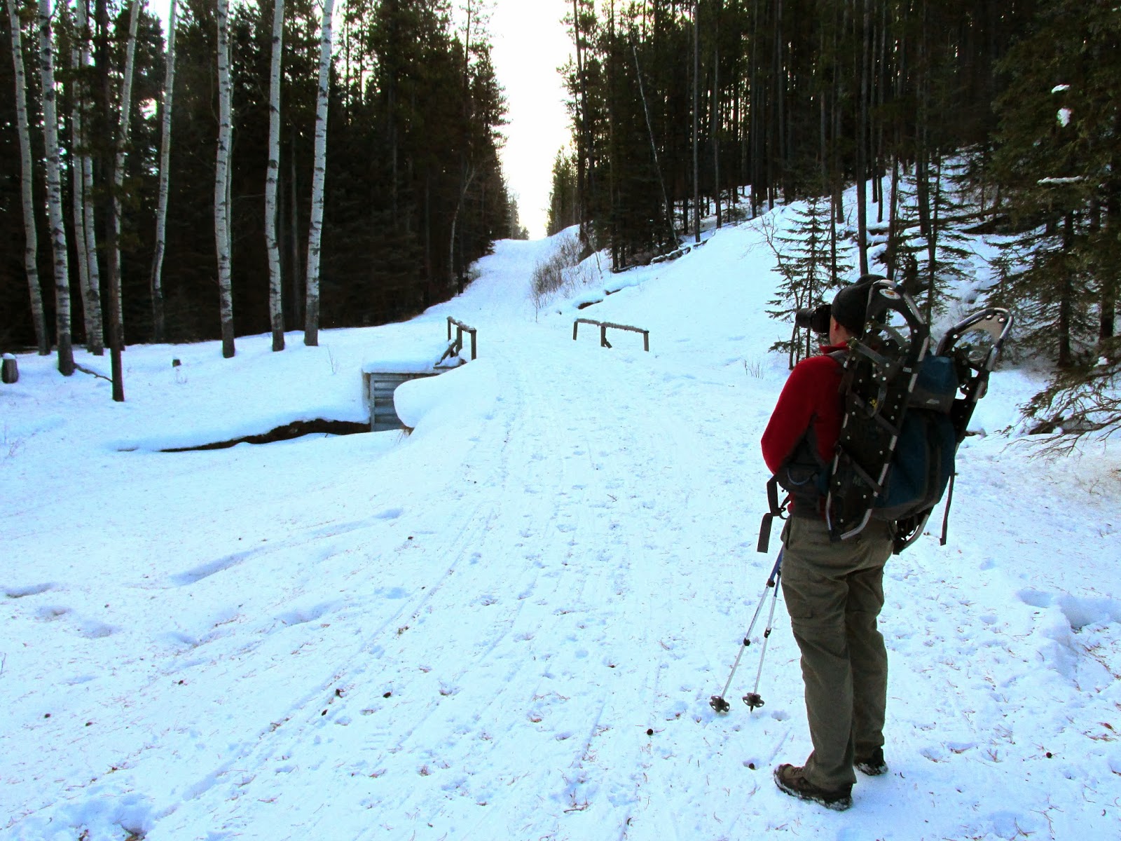 The Passionate Hiker: Ranger Hill Circuit