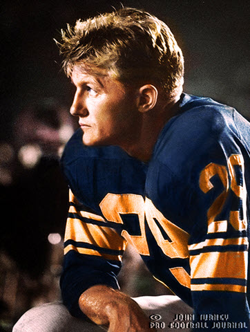 Pro Football Journal: Del Shofner: The Lean, Quiet, and Very Athletic Texan