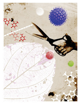 Lee Woodgate : News Blog