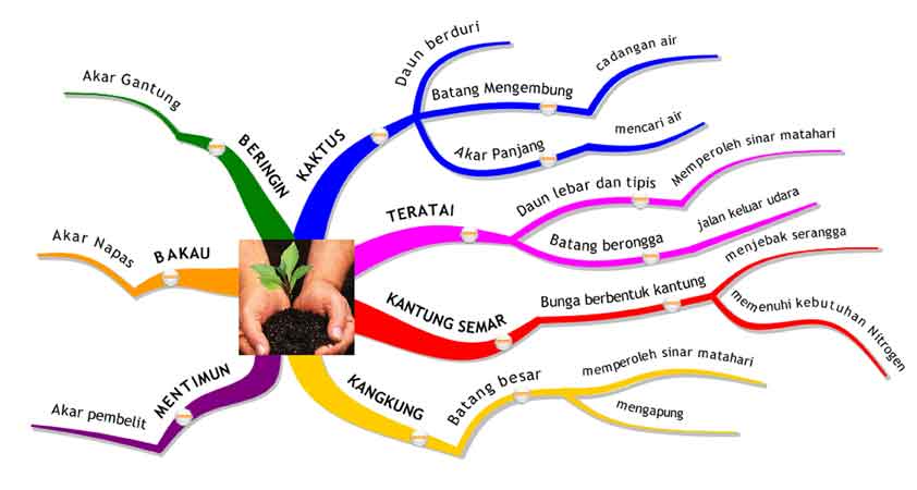 CONTOH MIND MAP UNTUK MERINGKAS MATERI ~ GUBENG 1 ELEMENTARY SCHOOL
