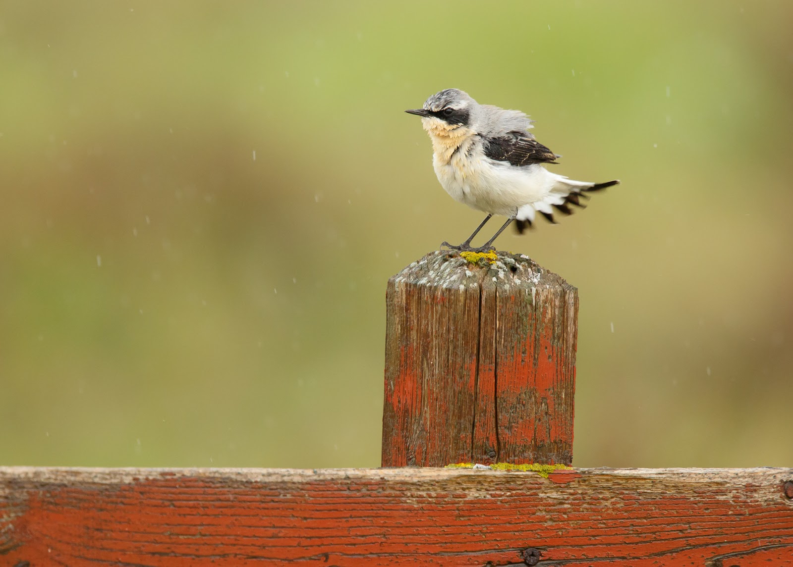 Nikos Fokas Photopraphy Blog
