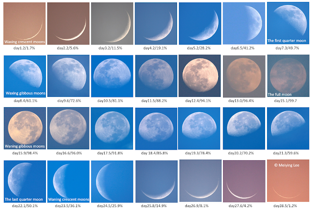 Bruce Charlton's Notions: The moon in daylight