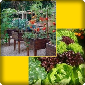 DISEÑO DE MACETO-HUERTO ECOLÓGICO: