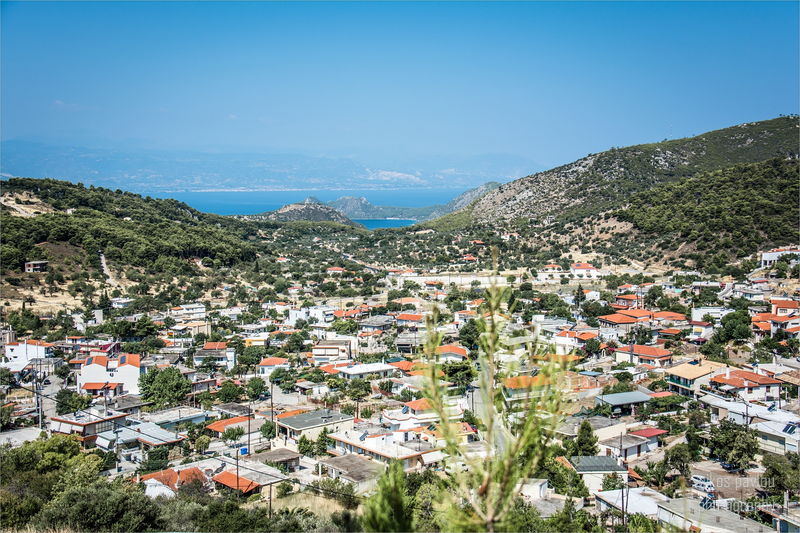 ΤΜΗΜΑ ΣΤΙΒΟΥ Α.Ο.ΠΟΣΕΙΔΩΝ ΛΟΥΤΡΑΚΙΟΥ : 2020