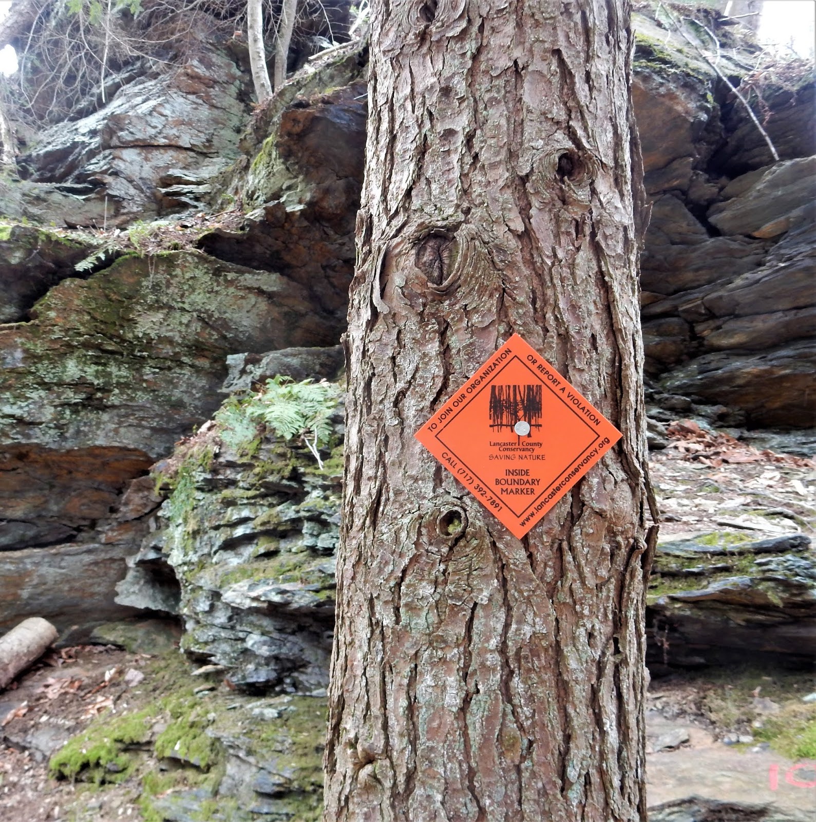 Conestoga Trail System Map at Carlos Huguley blog