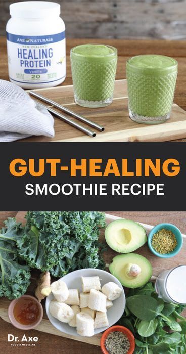 Gut-Healing Smoothie - Quick and Easy Recipes Gut-Healing Smoothie - Quick and Easy Recipes