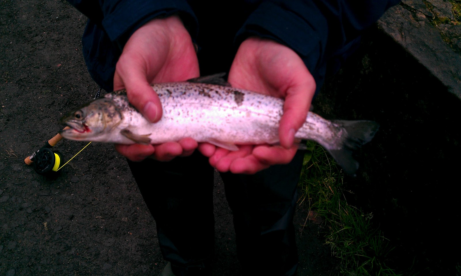 Backyard Fishing: 28/07/11 - The River Almond, Edinburgh