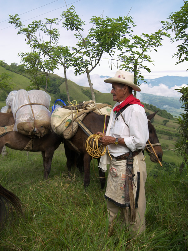 danza de arrieros: Cómo se aprende el oficio de la arriería, algunas ...