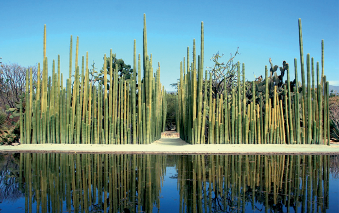 bensozia: Oaxaca Botanical Garden