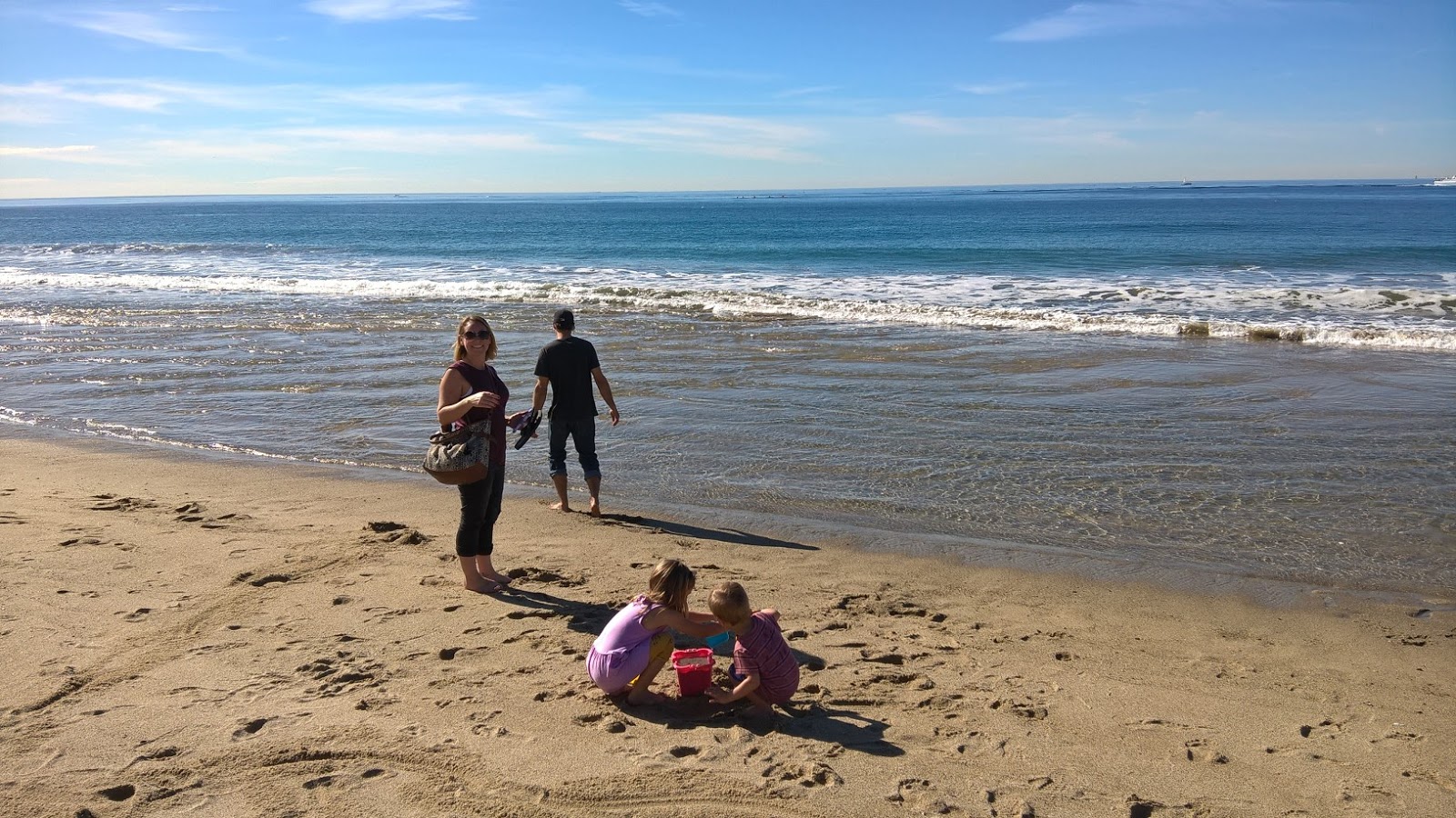 Wes's Travels: Ecology 1844: The Great Auk