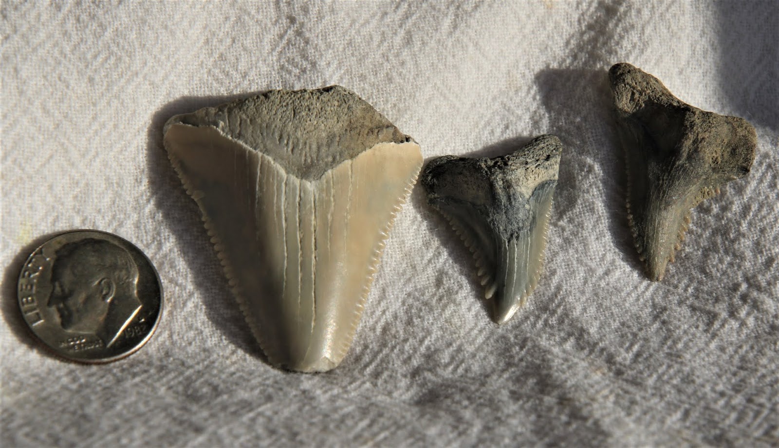 Southern Style: Shark Teeth Tutorial