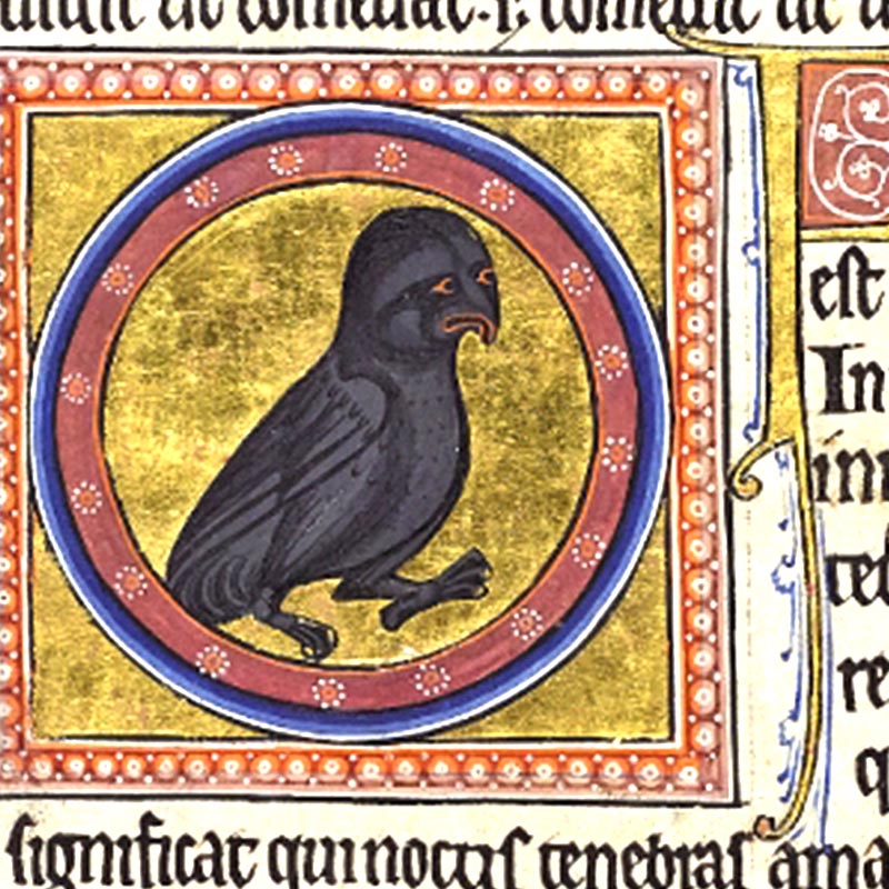 ¡ILUMINAME! - SOBRE EL MANUSCRITO MEDIEVAL 03