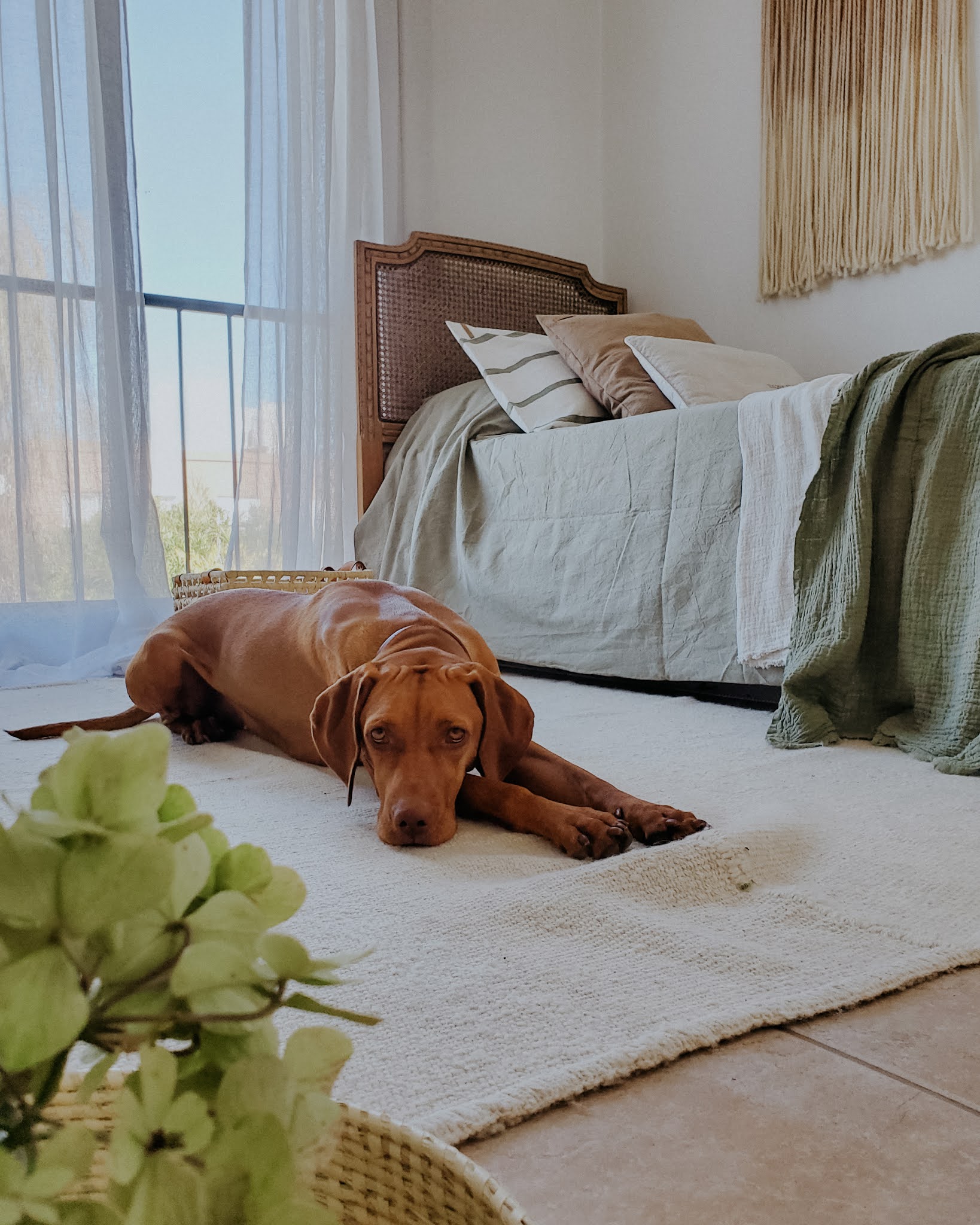 El cuarto verde estrena verdes: color y textiles / VERO PALAZZO