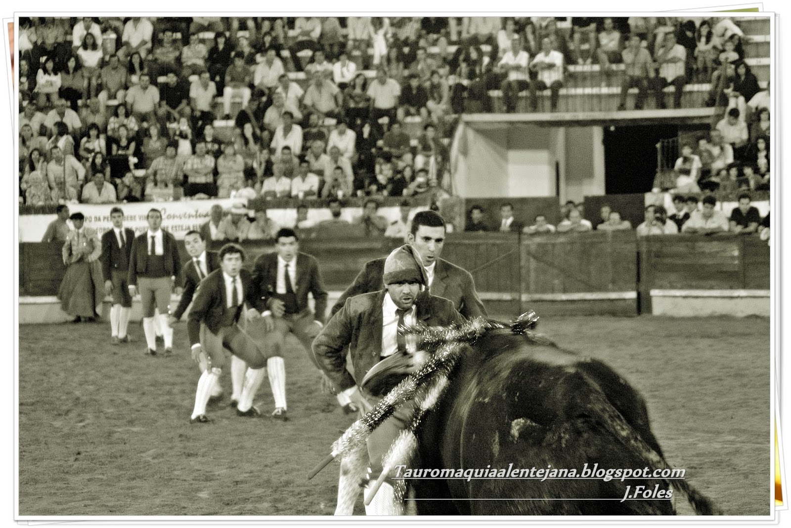 tauromaquia alentejana: FORCADOS AMADORES DE MONFORTE INAUGURAM TERTÚLIA