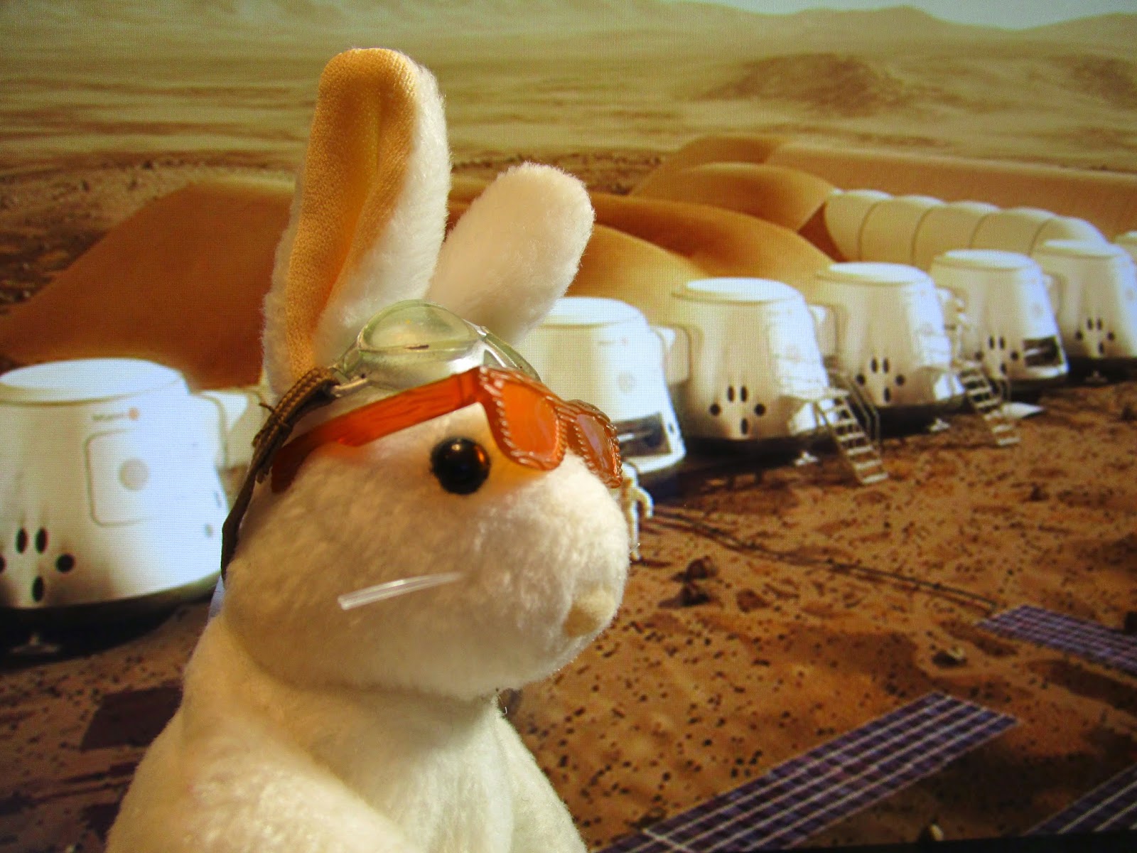 "Sweetness, and Light": "Bob the Bunny on Mars"