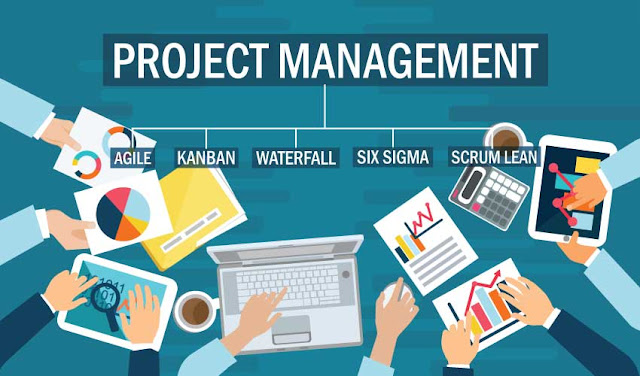 What is the Project management types?