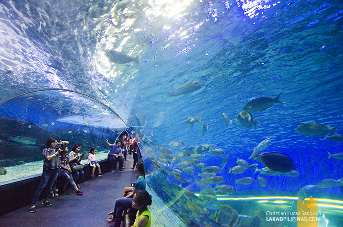 METRO MANILA | The Manila Ocean Park, Finally - Lakad Pilipinas