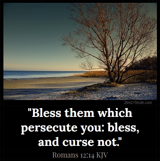 2 Timothy 2:15 Truth: Verse of the Day: Romans 12:14 KJV